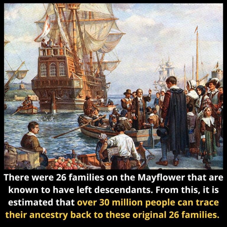 The Mayflower: A Journey of 26 Families and a Lasting Legacy - Proud ...